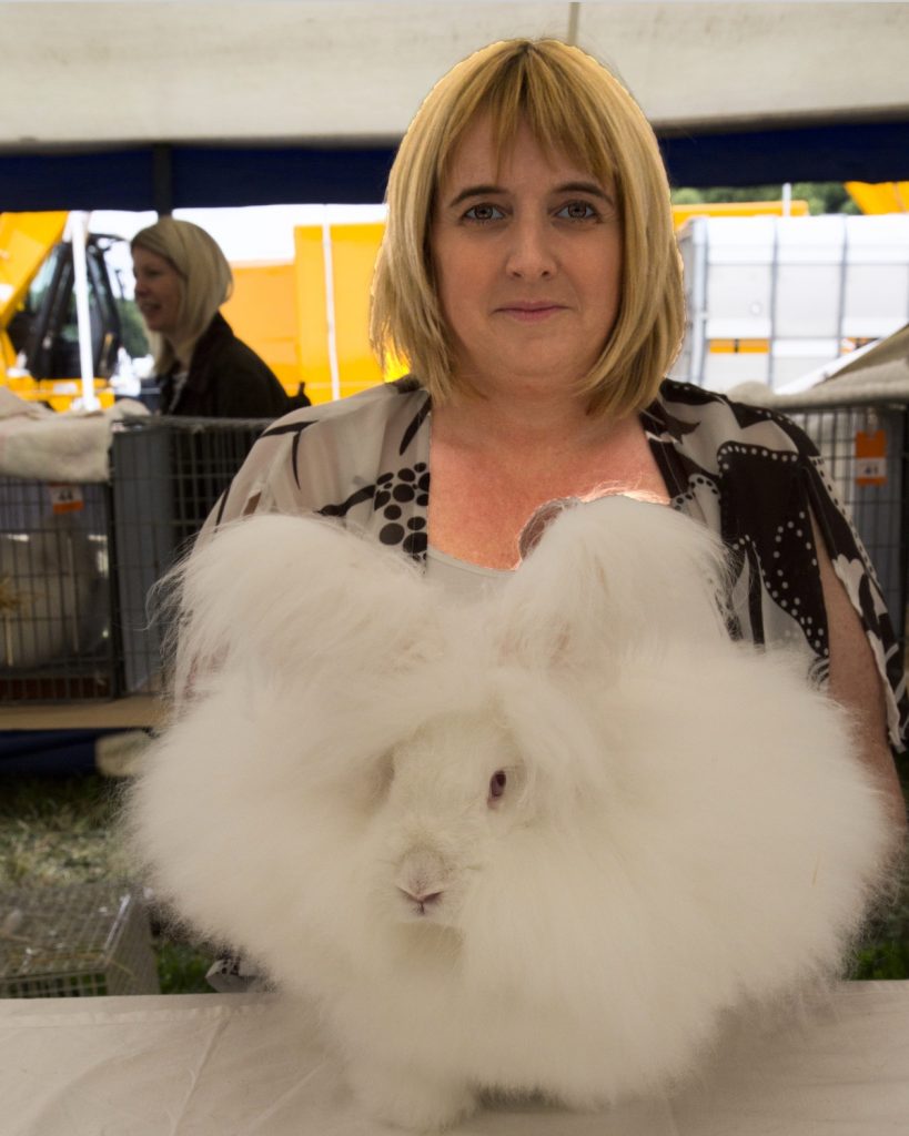 The breed standard of the white English Angora - UK National Angora ...