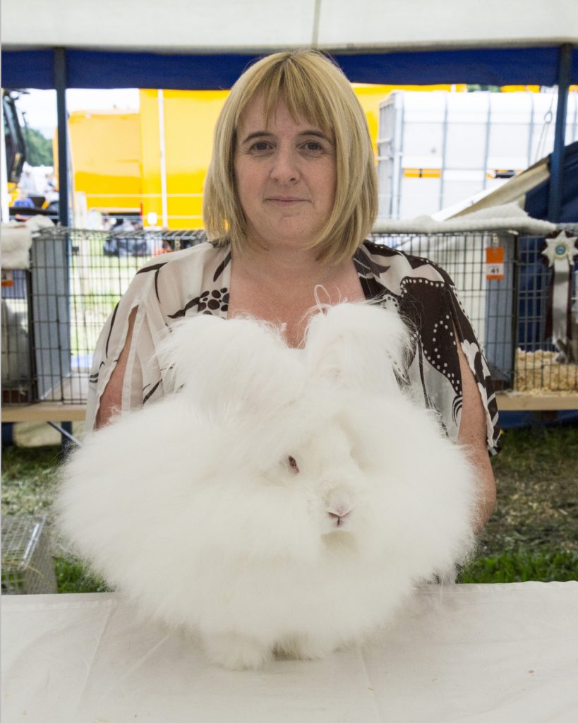 Showing angora rabbits - UK National Angora Rabbit Club