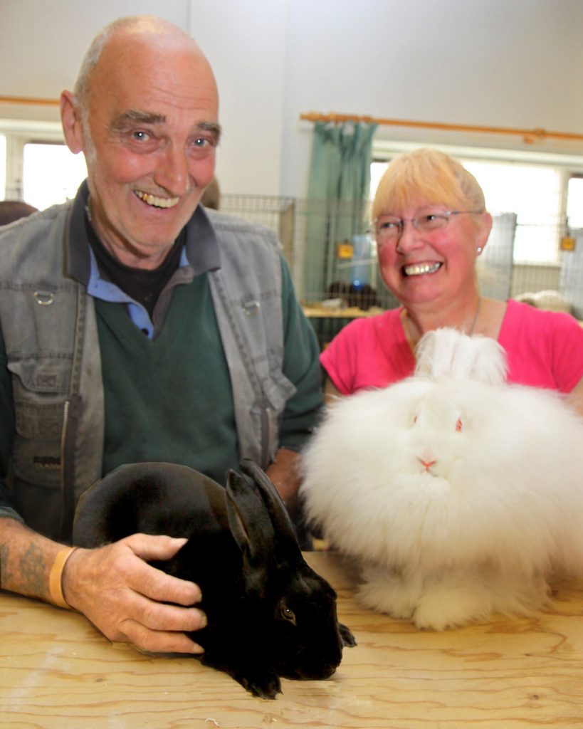 Showing angora rabbits - UK National Angora Rabbit Club