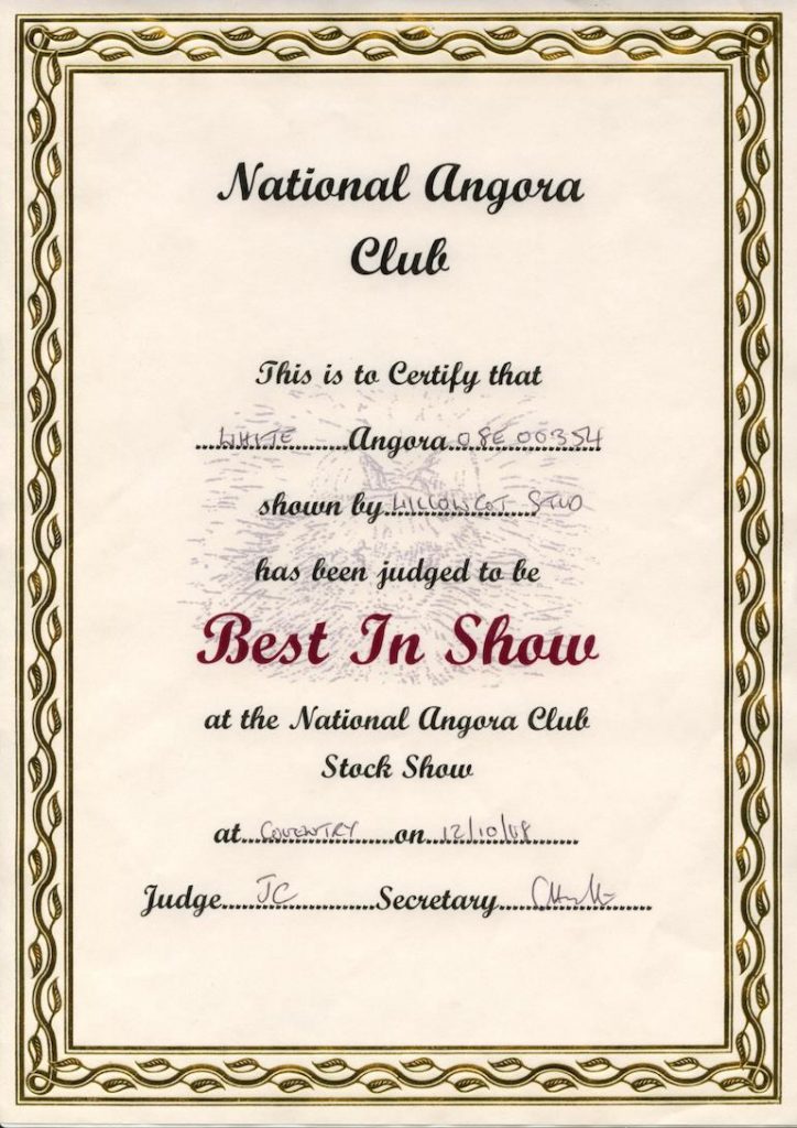 Awards for winning - UK National Angora Rabbit Club