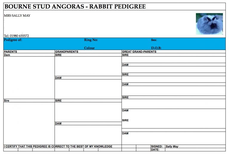 Angora rabbit pedigrees - UK National Angora Rabbit Club