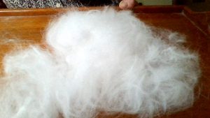 Preparing Angora for spinning - UK National Angora Rabbit Club