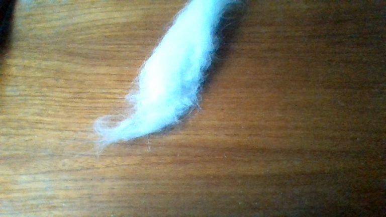Preparing Angora for spinning - UK National Angora Rabbit Club