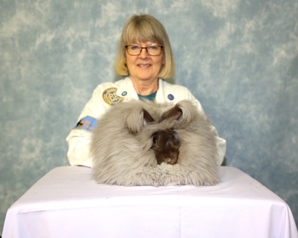 Bradford Small Livestock Show 2018 - UK National Angora Rabbit Club