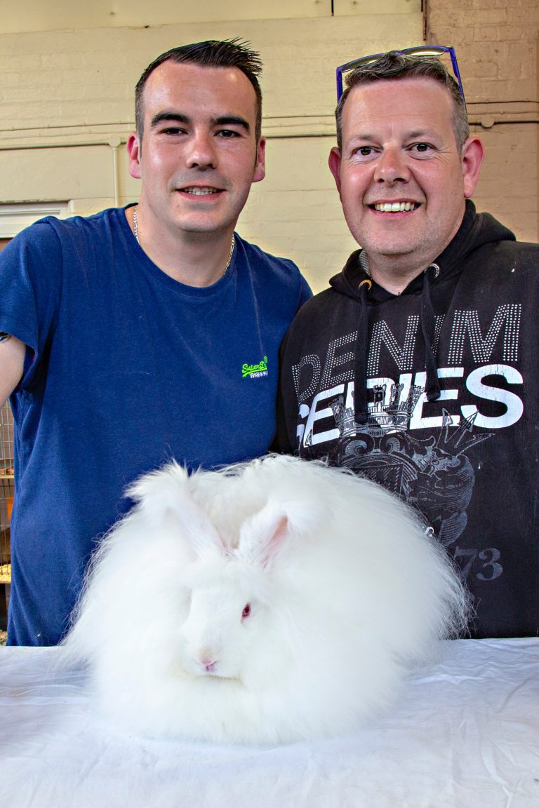 Coventry Stock Show May 2018 and AGM - UK National Angora Rabbit Club