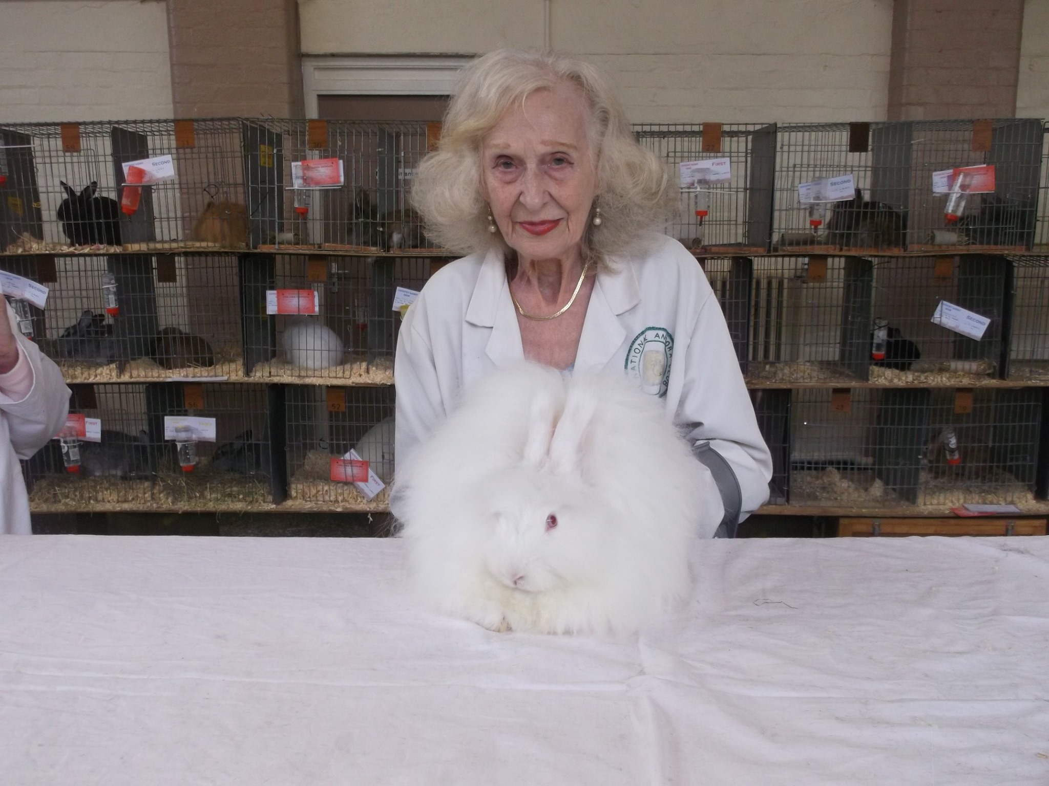 Winners at Coventry Stock Show - UK National Angora Rabbit Club