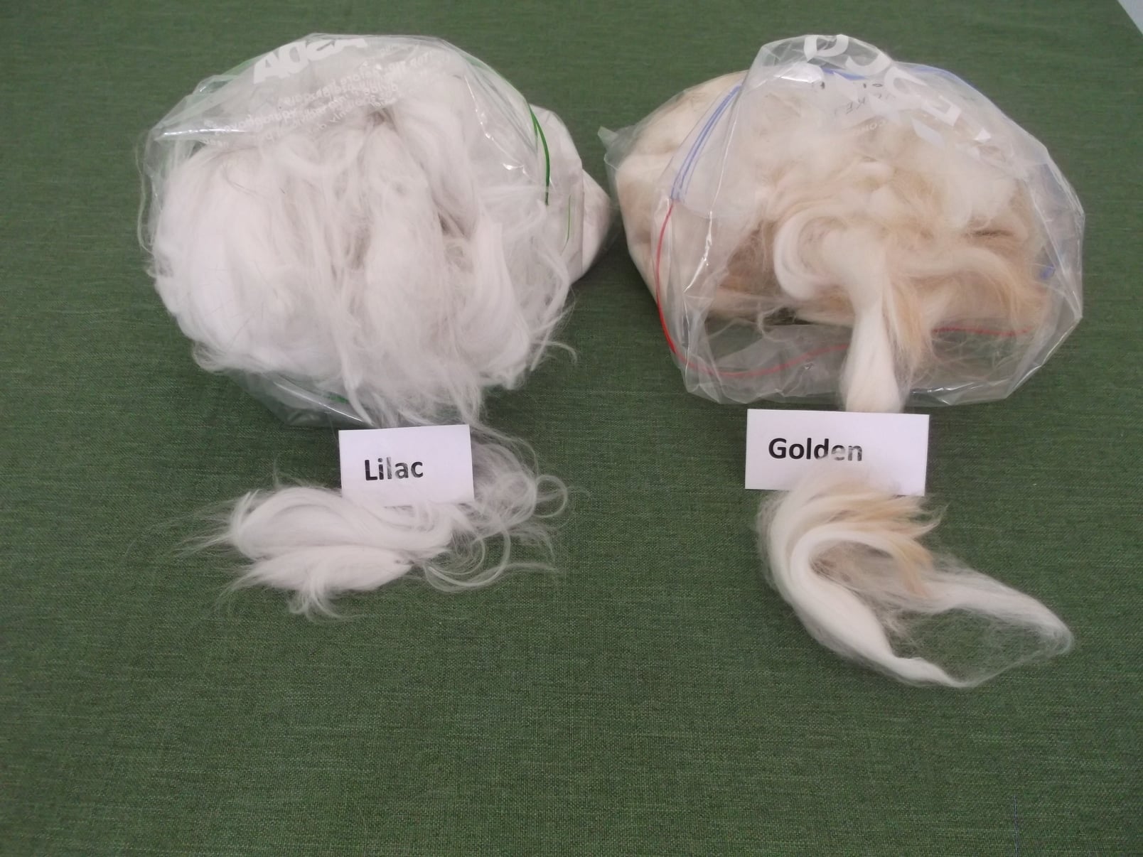 UK National Angora Rabbit Club - UK National Club