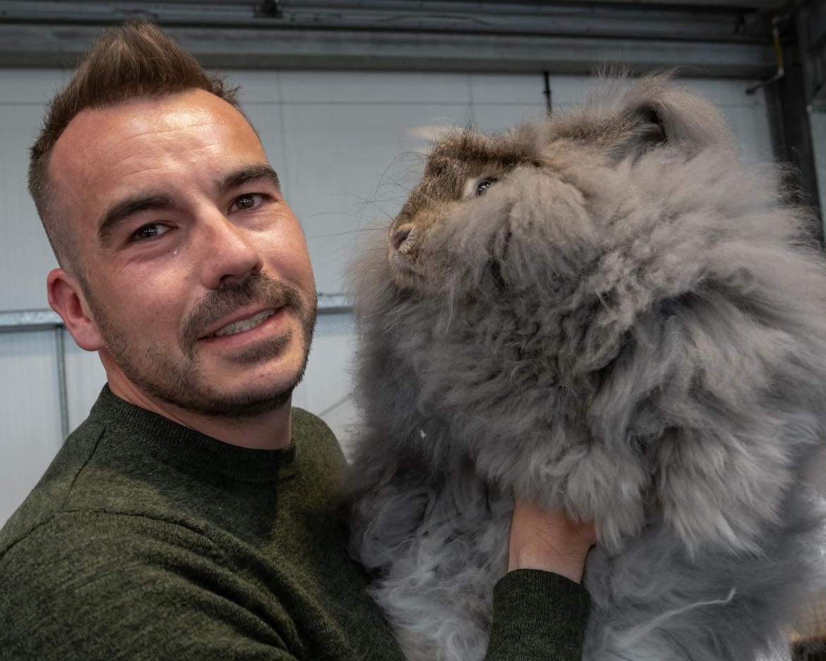 UK National Angora Rabbit Club - UK National Club