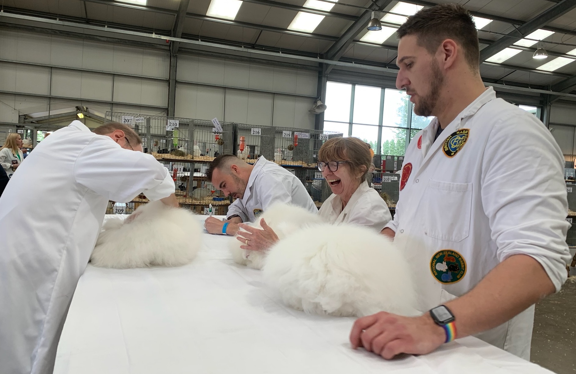 Great British Rabbit Show July 2022 - UK National Angora Rabbit Club