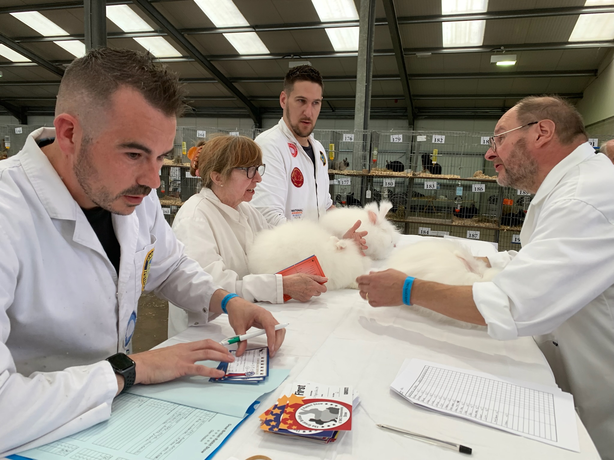 Great British Rabbit Show July 2022 - UK National Angora Rabbit Club