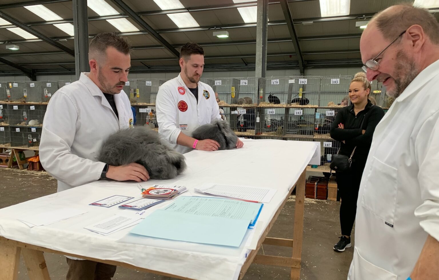 Great British Rabbit Show July 2022 - UK National Angora Rabbit Club