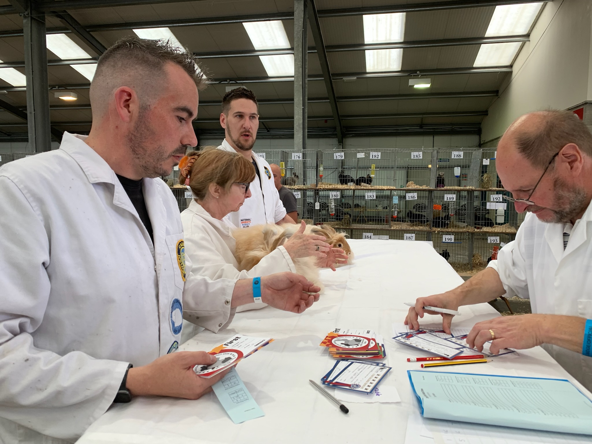 Great British Rabbit Show July 2022 - UK National Angora Rabbit Club