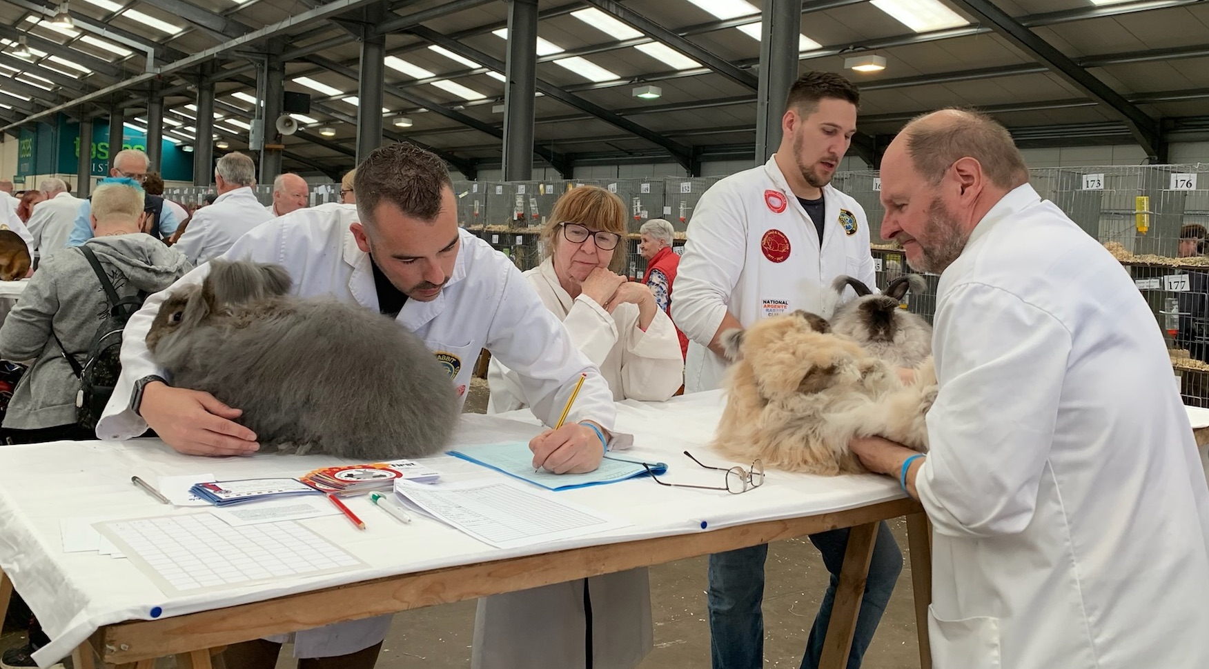 Great British Rabbit Show July 2022 - UK National Angora Rabbit Club