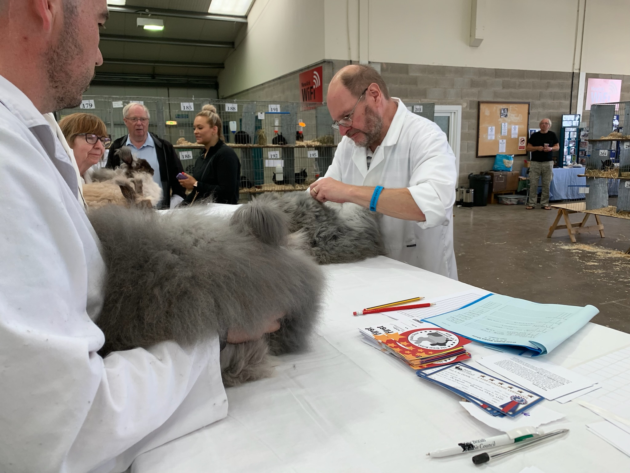 Great British Rabbit Show July 2022 - UK National Angora Rabbit Club
