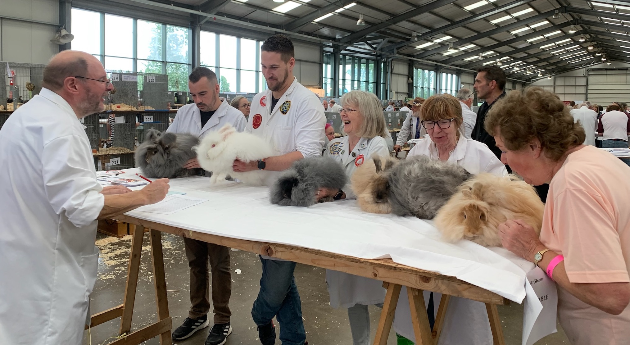 UK National Angora Rabbit Club - UK National Club