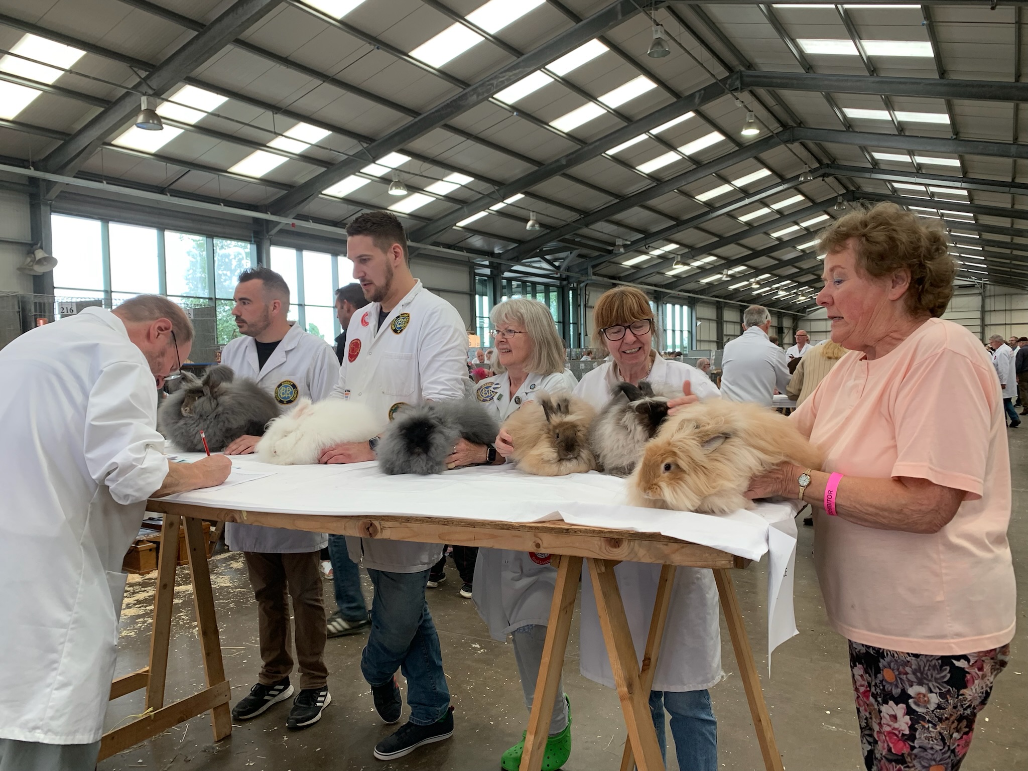 Great British Rabbit Show July 2022 - UK National Angora Rabbit Club