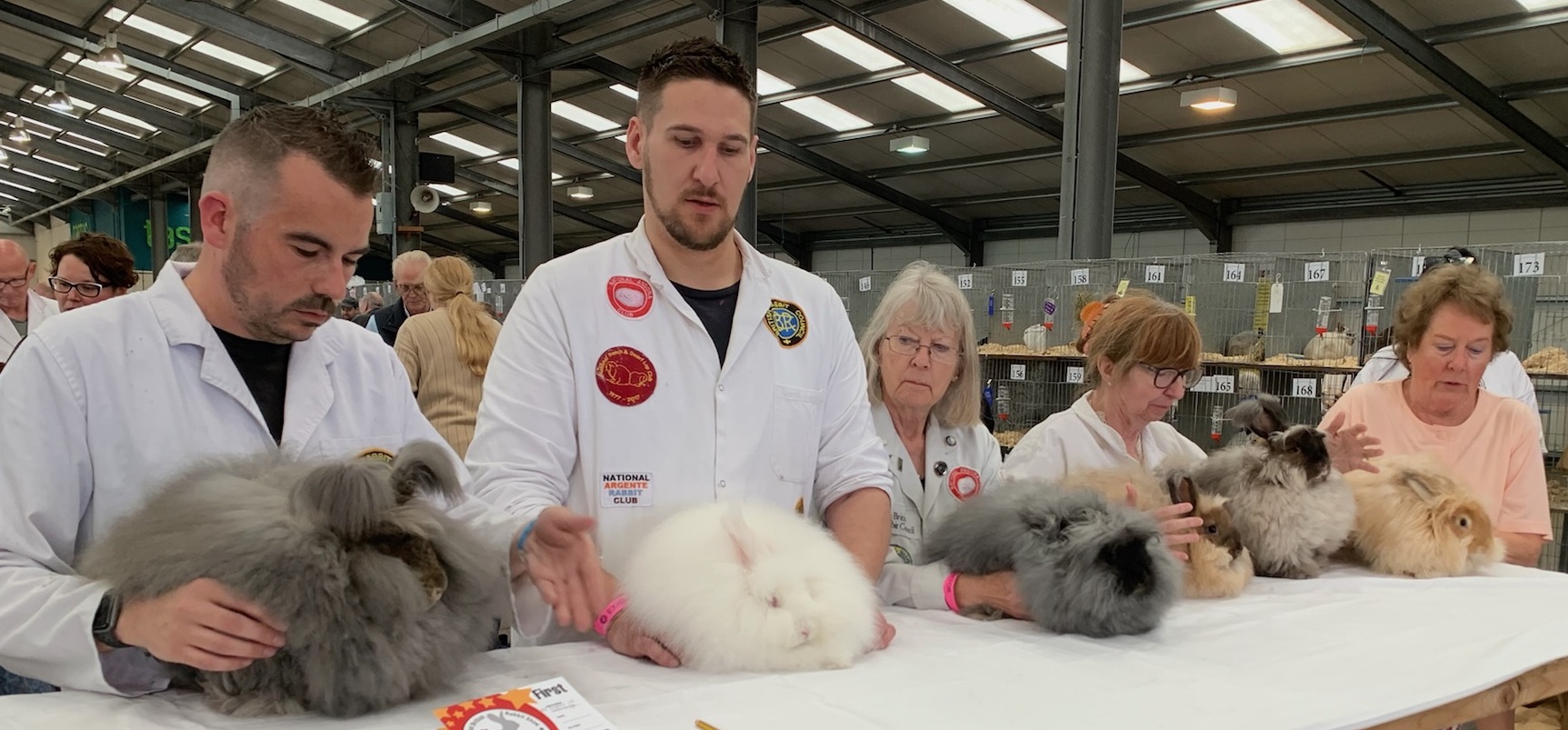 Great British Rabbit Show July 2022 - UK National Angora Rabbit Club
