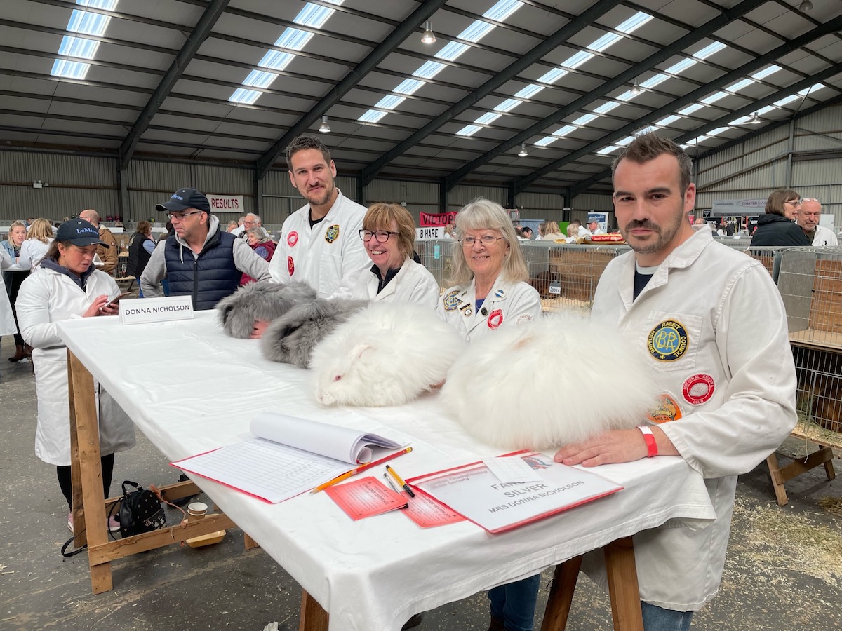 UK National Angora Rabbit Club - UK National Club