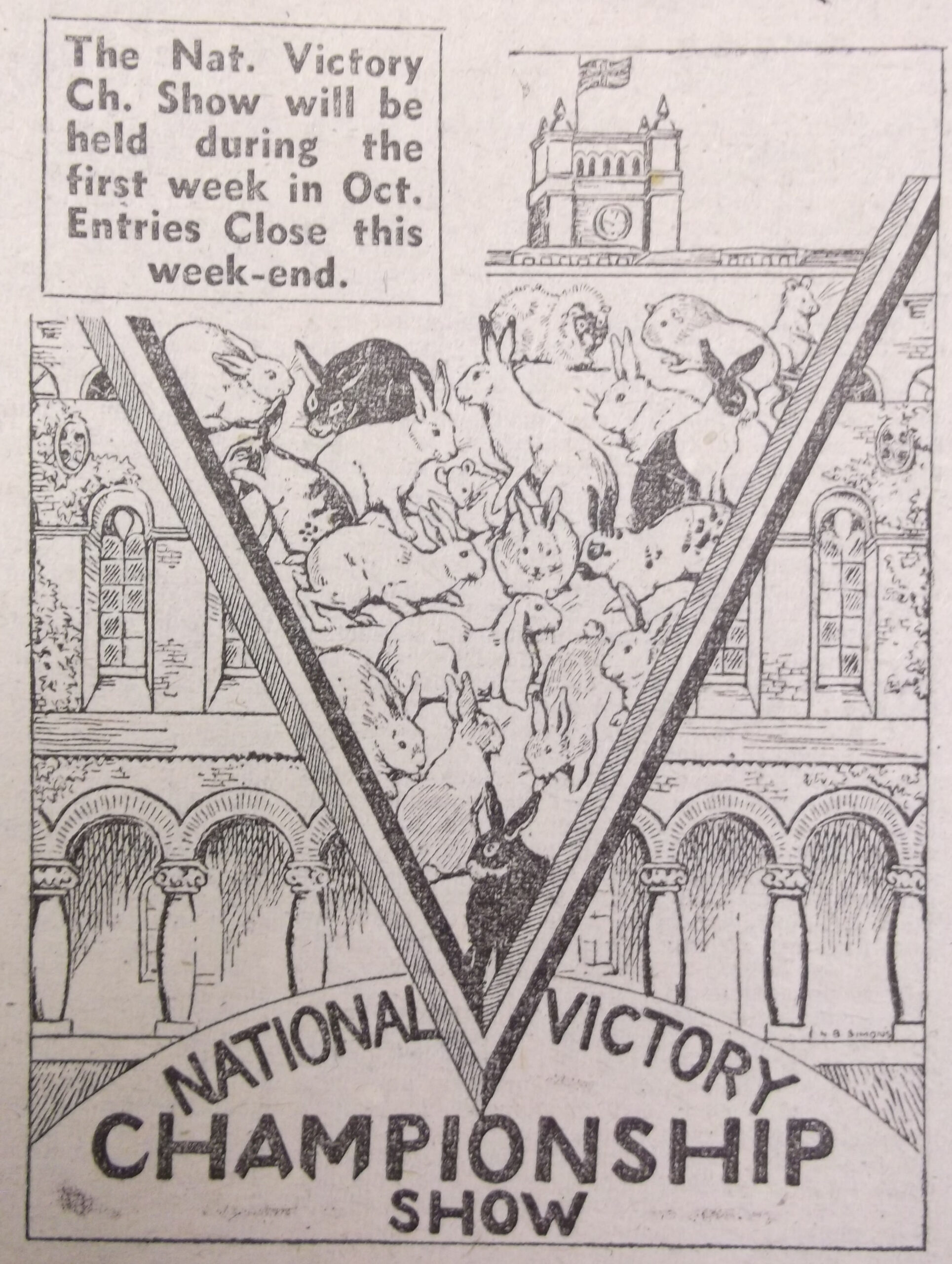 UK National Angora Rabbit Club - UK National Club